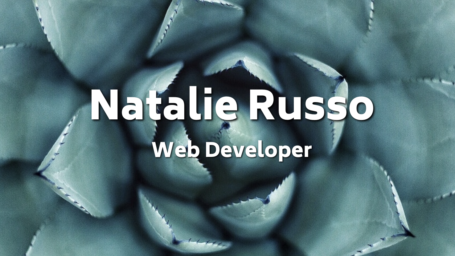 Natalie Russo | Developer